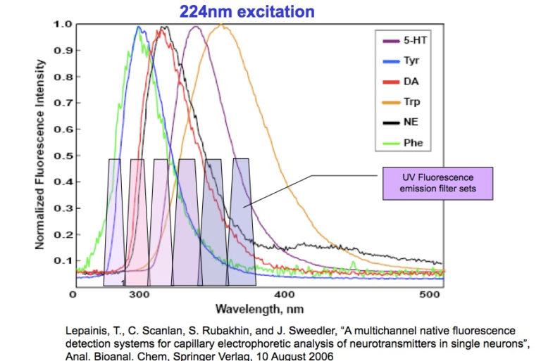 Capillary Electrophoresis - Photon Systems